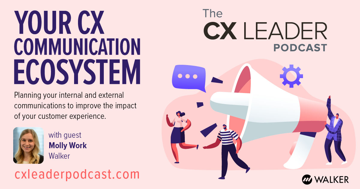 Your Cx Communication Ecosystem The Cx Leader Podcast